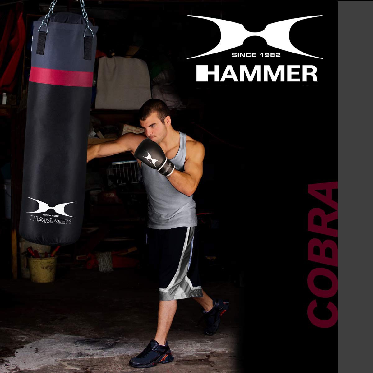 Buy HAMMER BOXING Cobra Boxing-Set