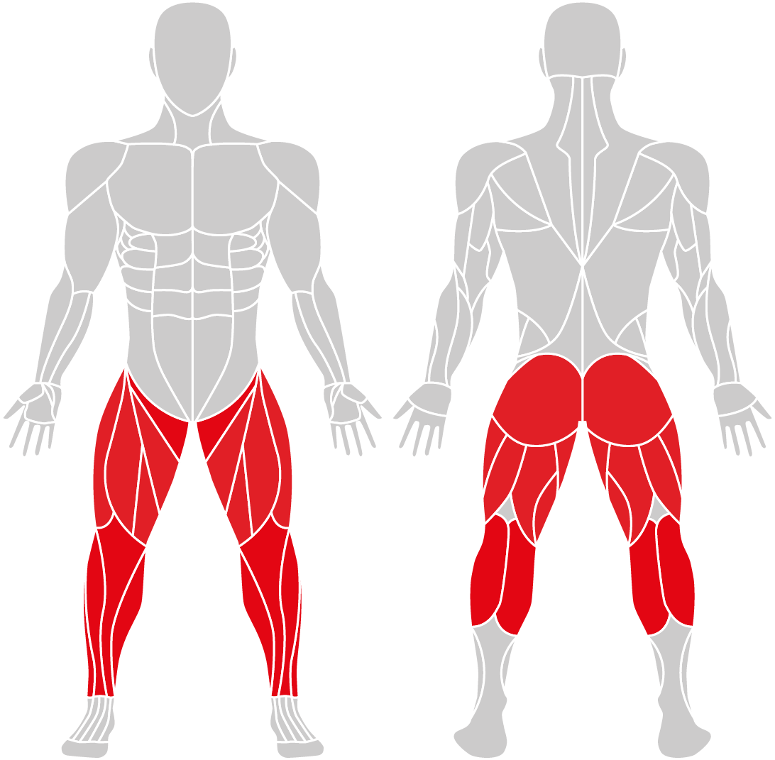 ᐅ Bio Force Kraftstation online kaufen